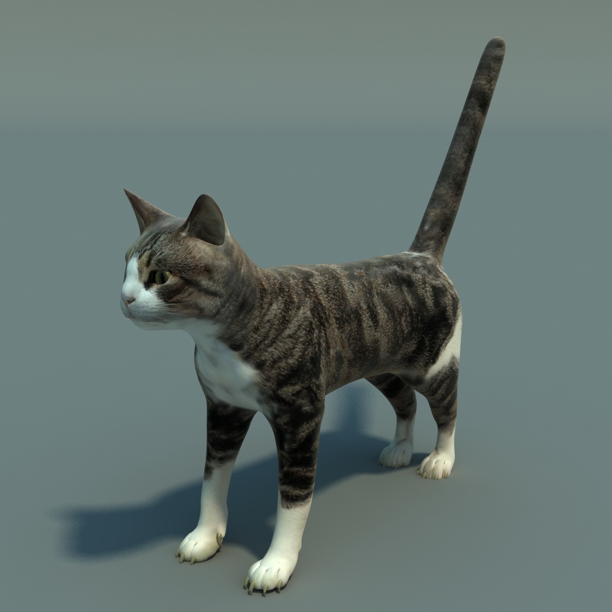 cat rigging obj