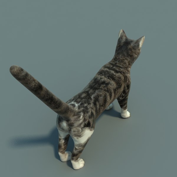 cat rigging obj