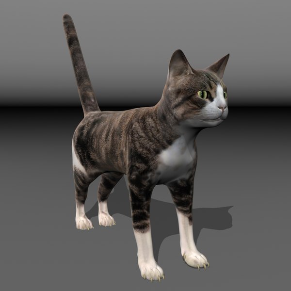 cat rigging obj