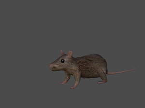 Stylized mouse 3D model - TurboSquid 1242887