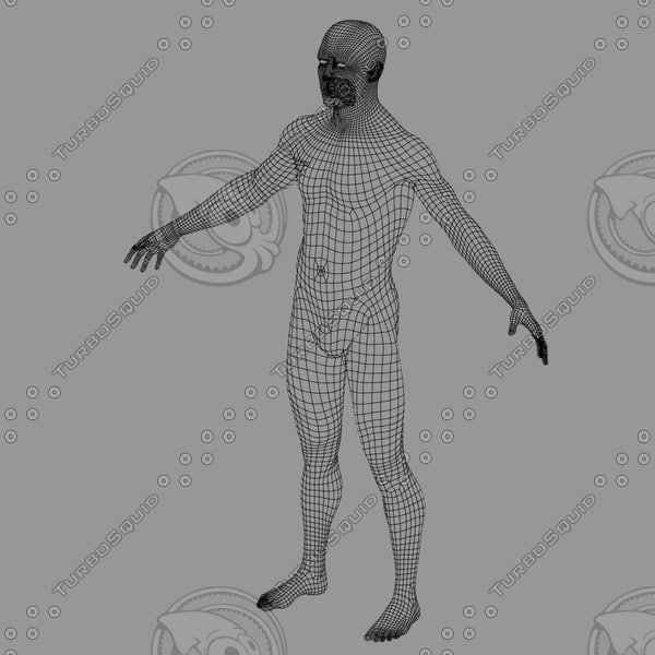 human man 3d max