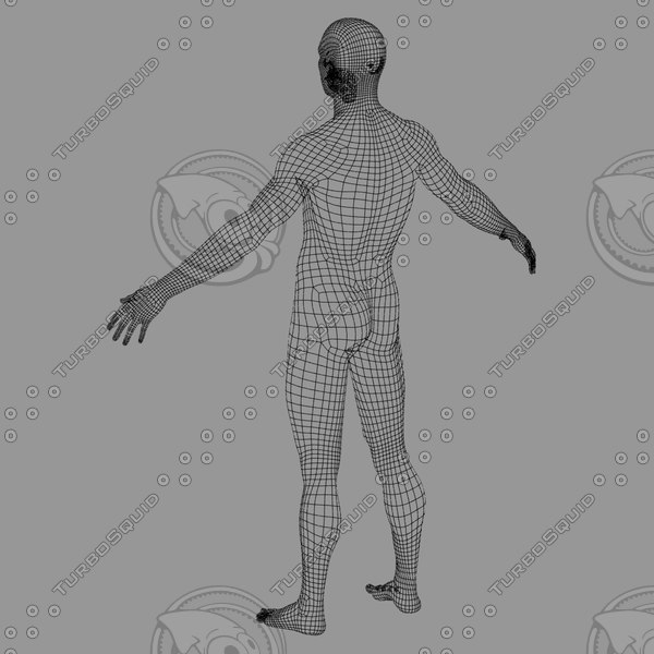 human man 3d max