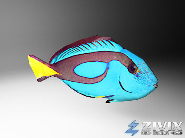 free tropical fish pack 3d model
