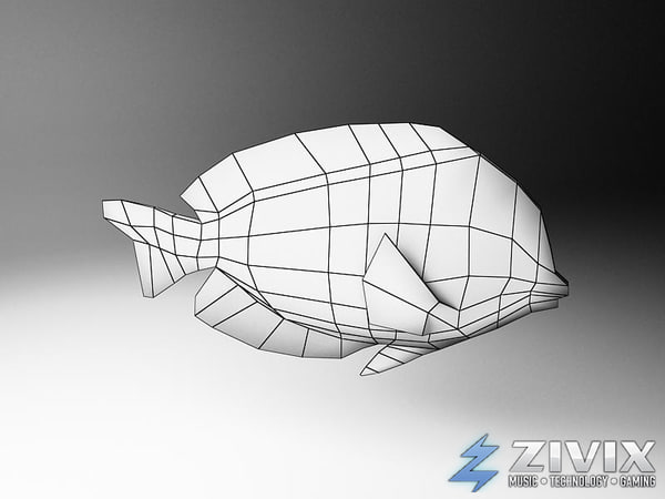 free tropical fish pack 3d model