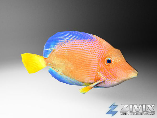 free tropical fish pack 3d model