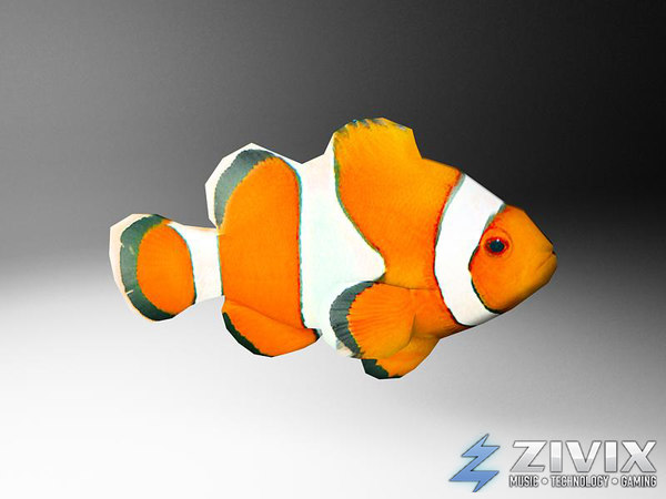 free tropical fish pack 3d model