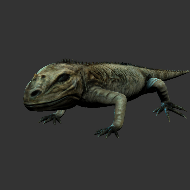 iguana 3d model