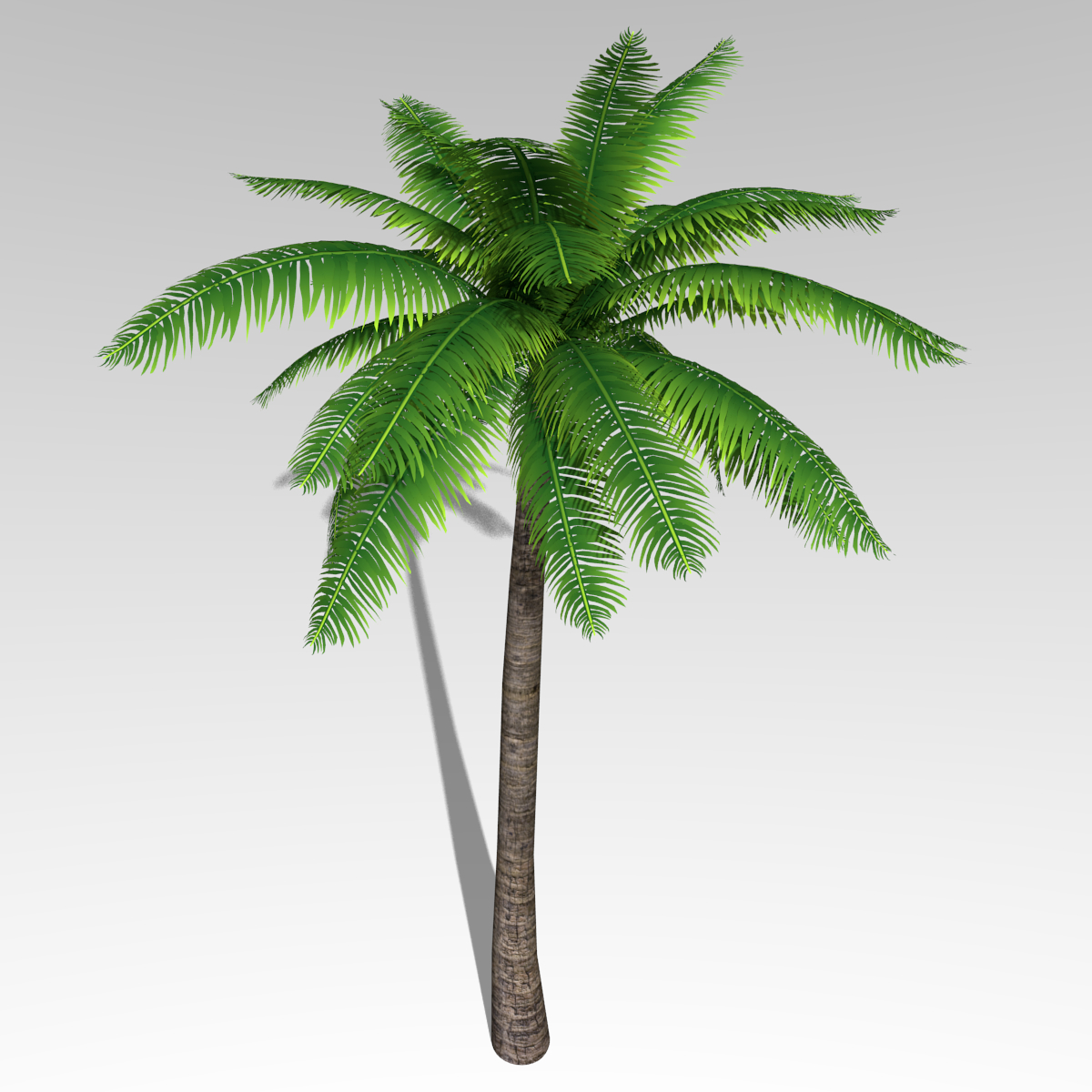 3d model palm tree