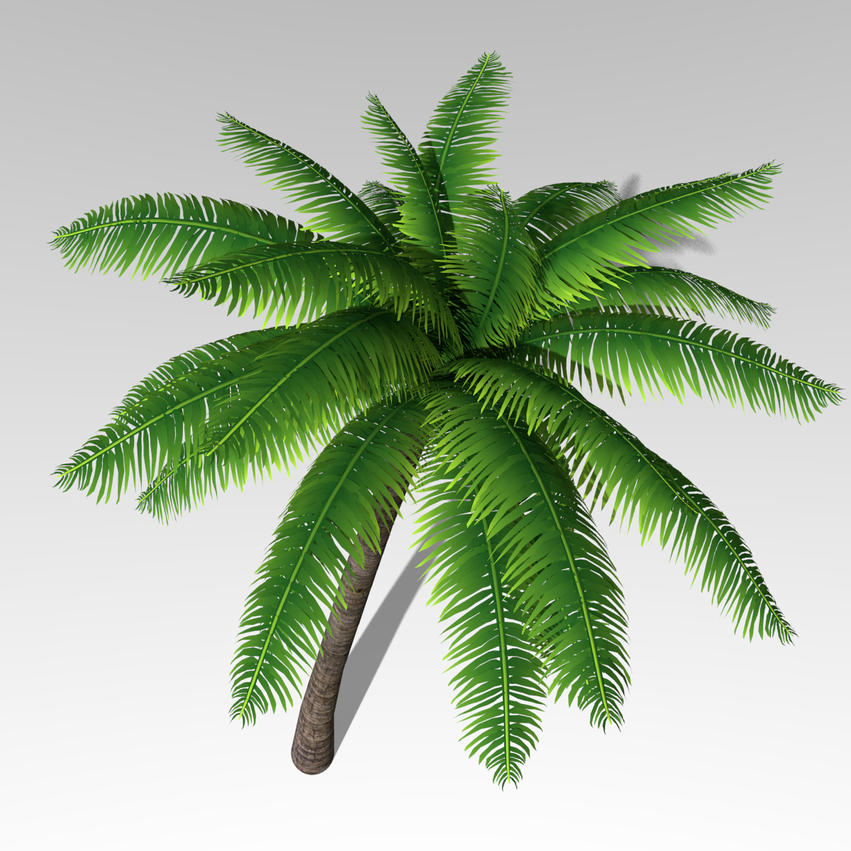 3d model palm tree
