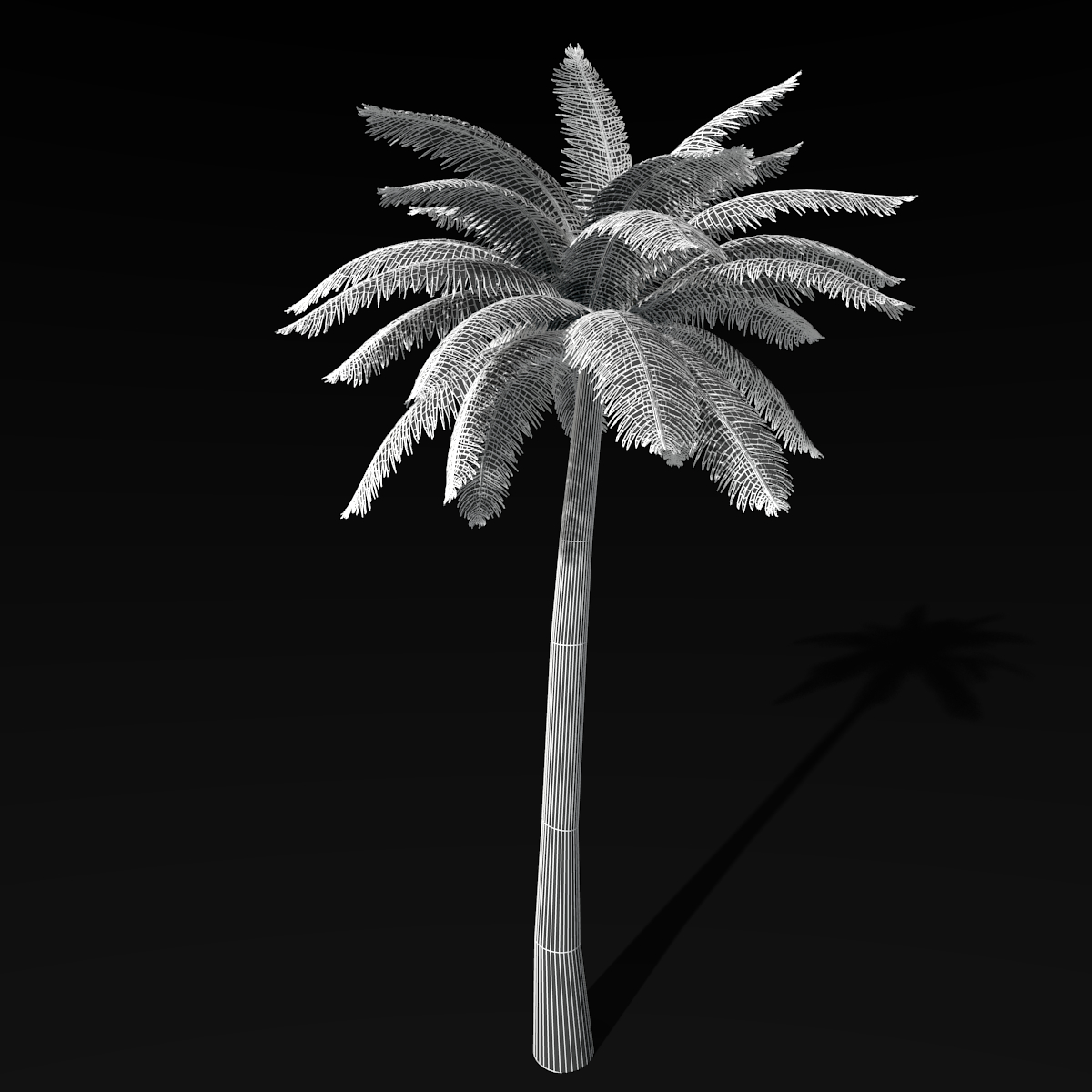 3d model palm tree