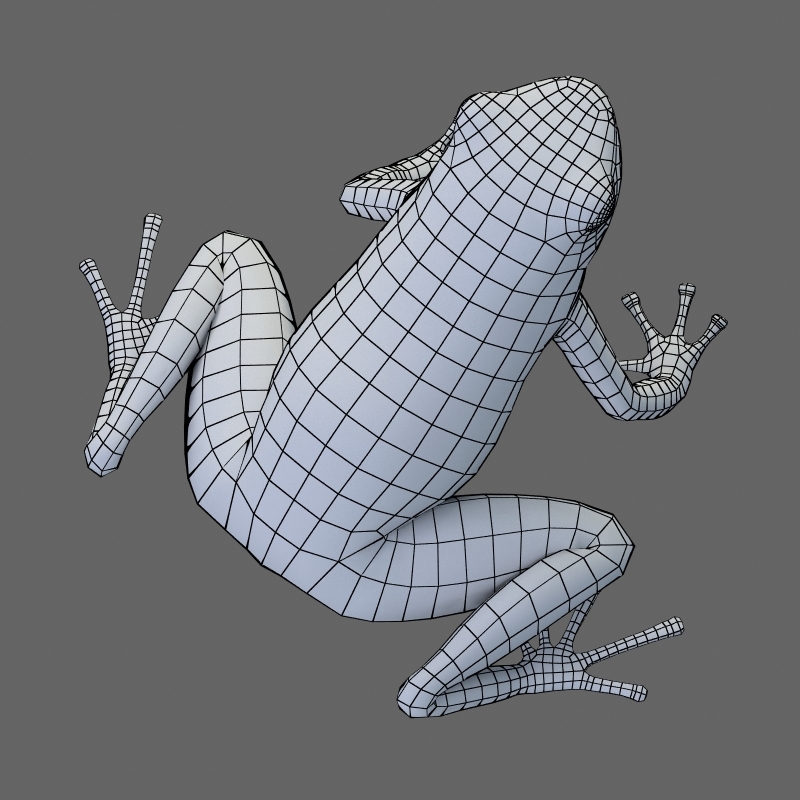 poison dart frog 3d model