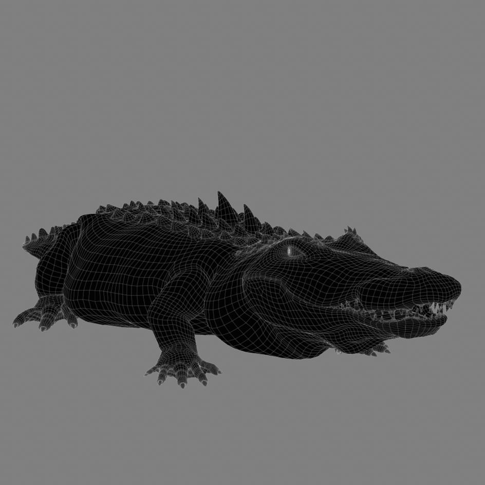 3d alligator gator model
