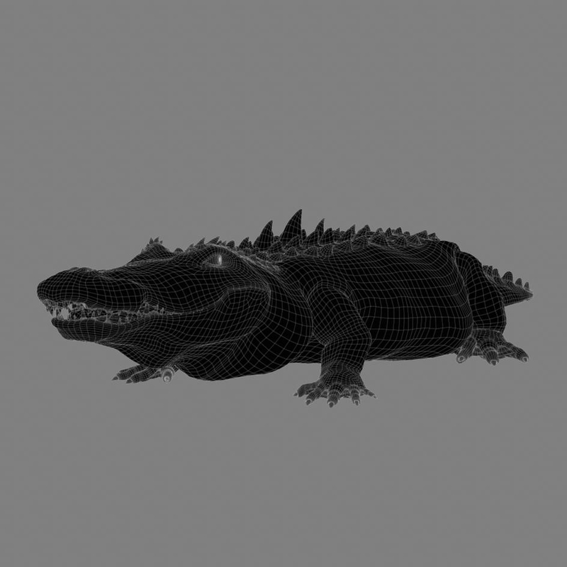 3d alligator gator model