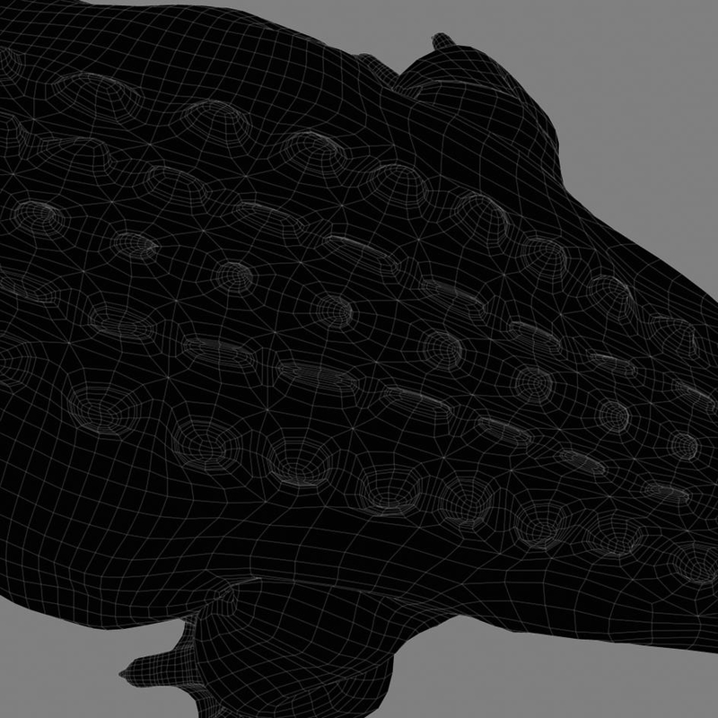 3d alligator gator model