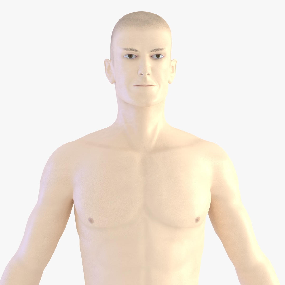 peter male character 3d model