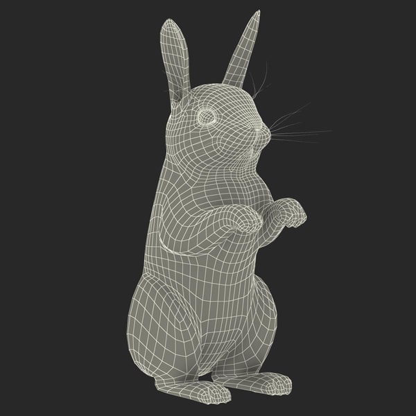 rabbit v2 3d model