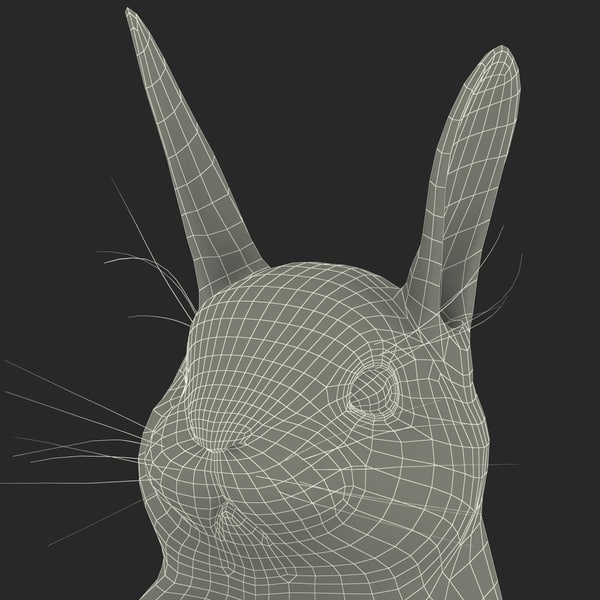 rabbit v2 3d model
