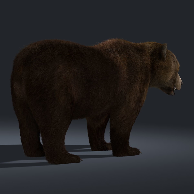 obj bears fur