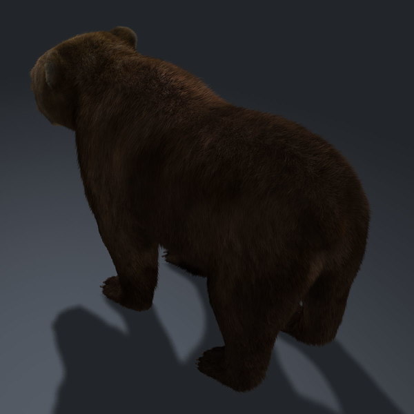 obj bears fur
