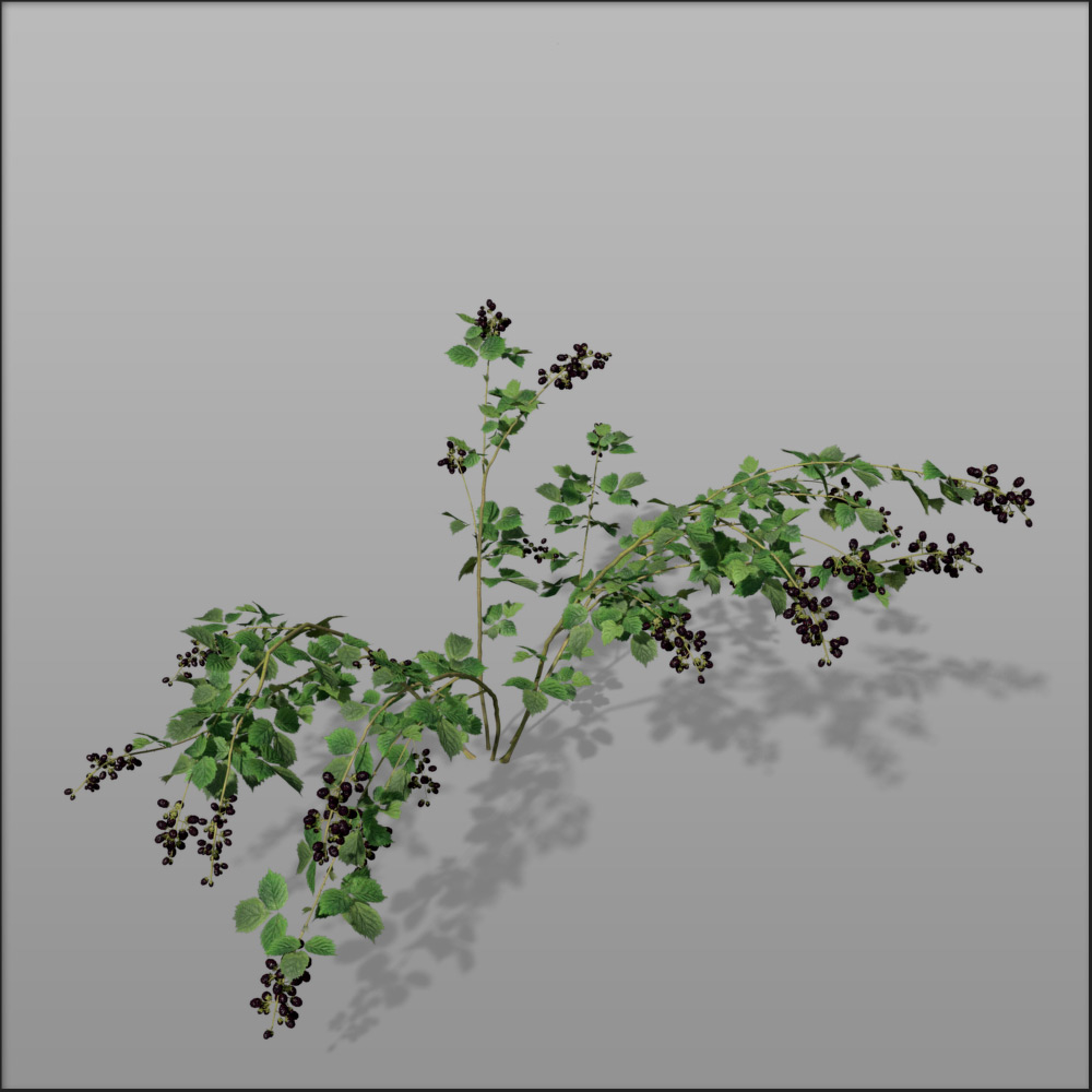 3d shrub bush 1 model