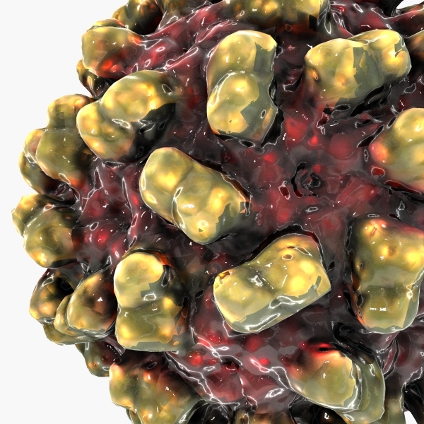 max necrotic spot virus