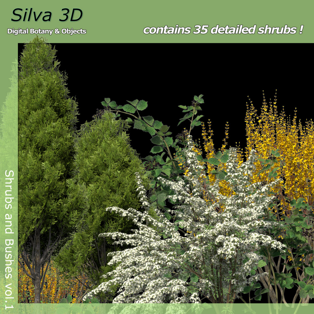 3d shrub bush 1 model