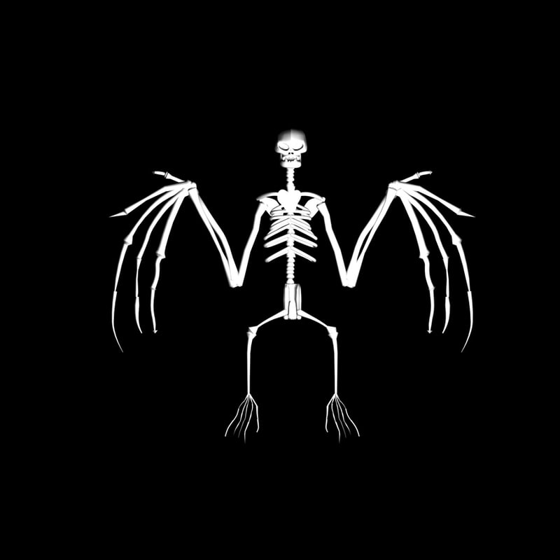 3d bat skeleton model