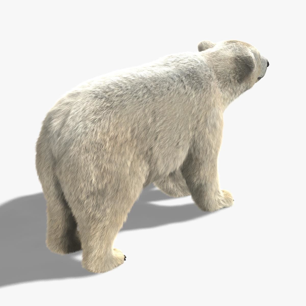 obj bears fur