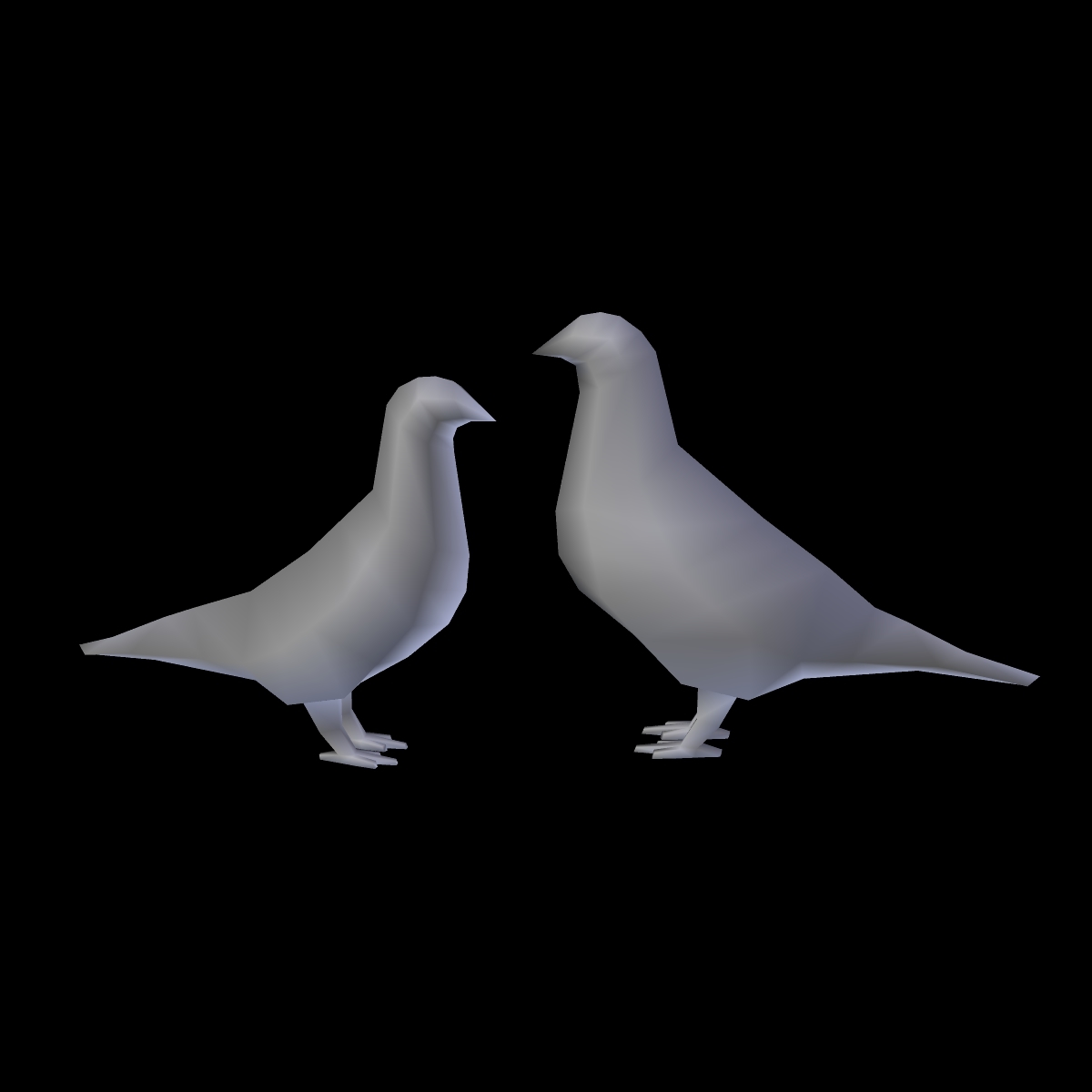 3d model birds pigeons