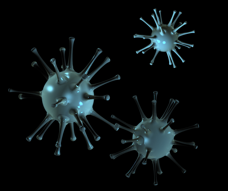 3d model common cold cell