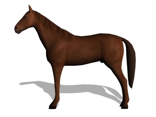 modèle 3D de Cheval low poly modèle - TurboSquid 658155