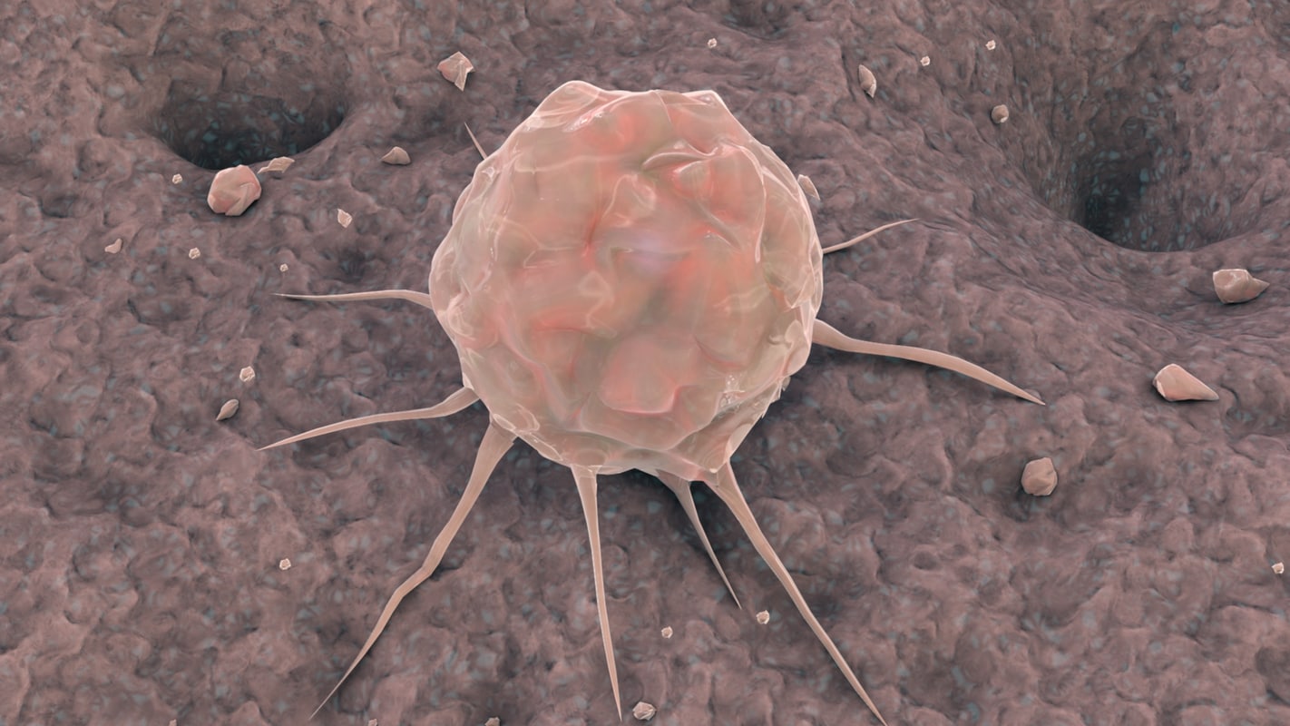 3d stem cell bone animation model