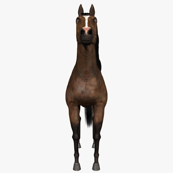 3d model of horse rig