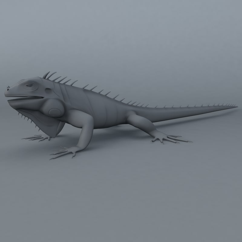 iguana 3d model