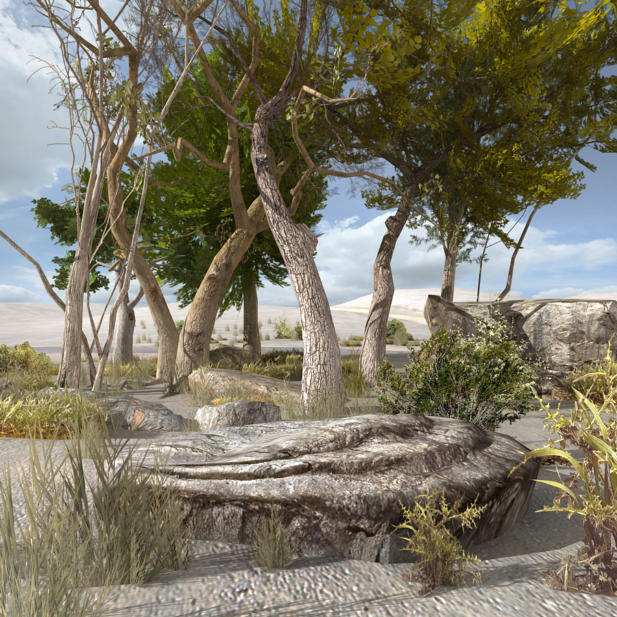 tree plants afghan rock stone 3d max