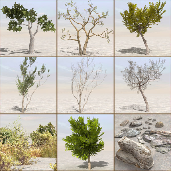 tree plants afghan rock stone 3d max