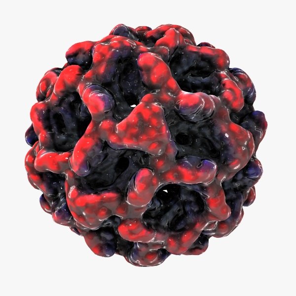 virus 3d model