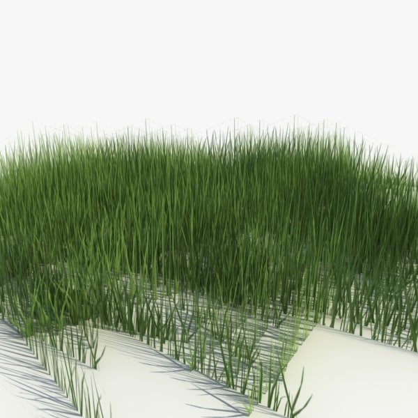 grass 3d model