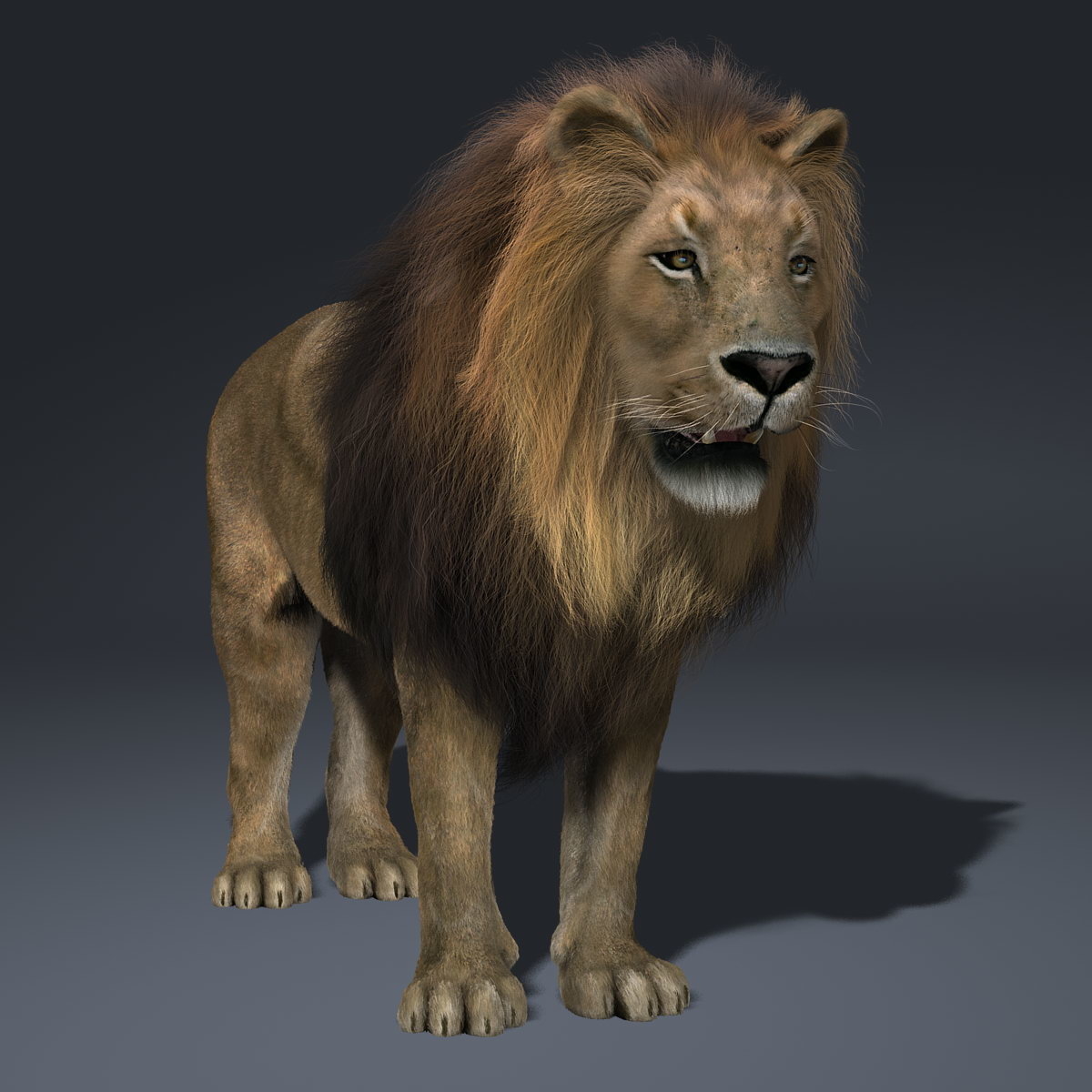 lion lioness fur 3d obj