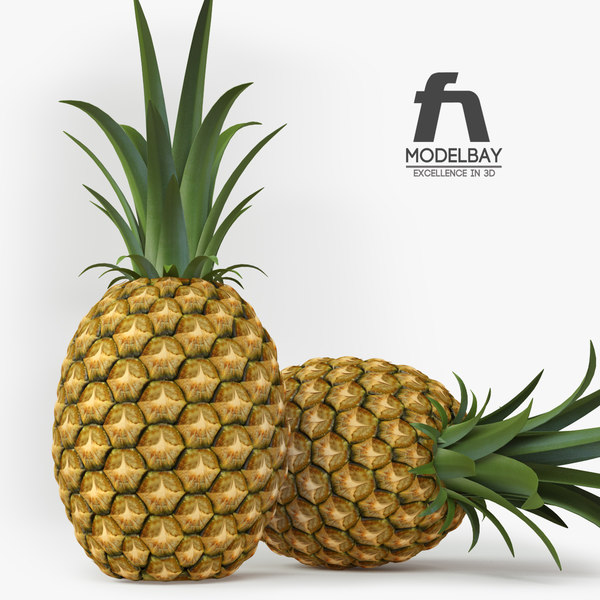 pineapple 3d model