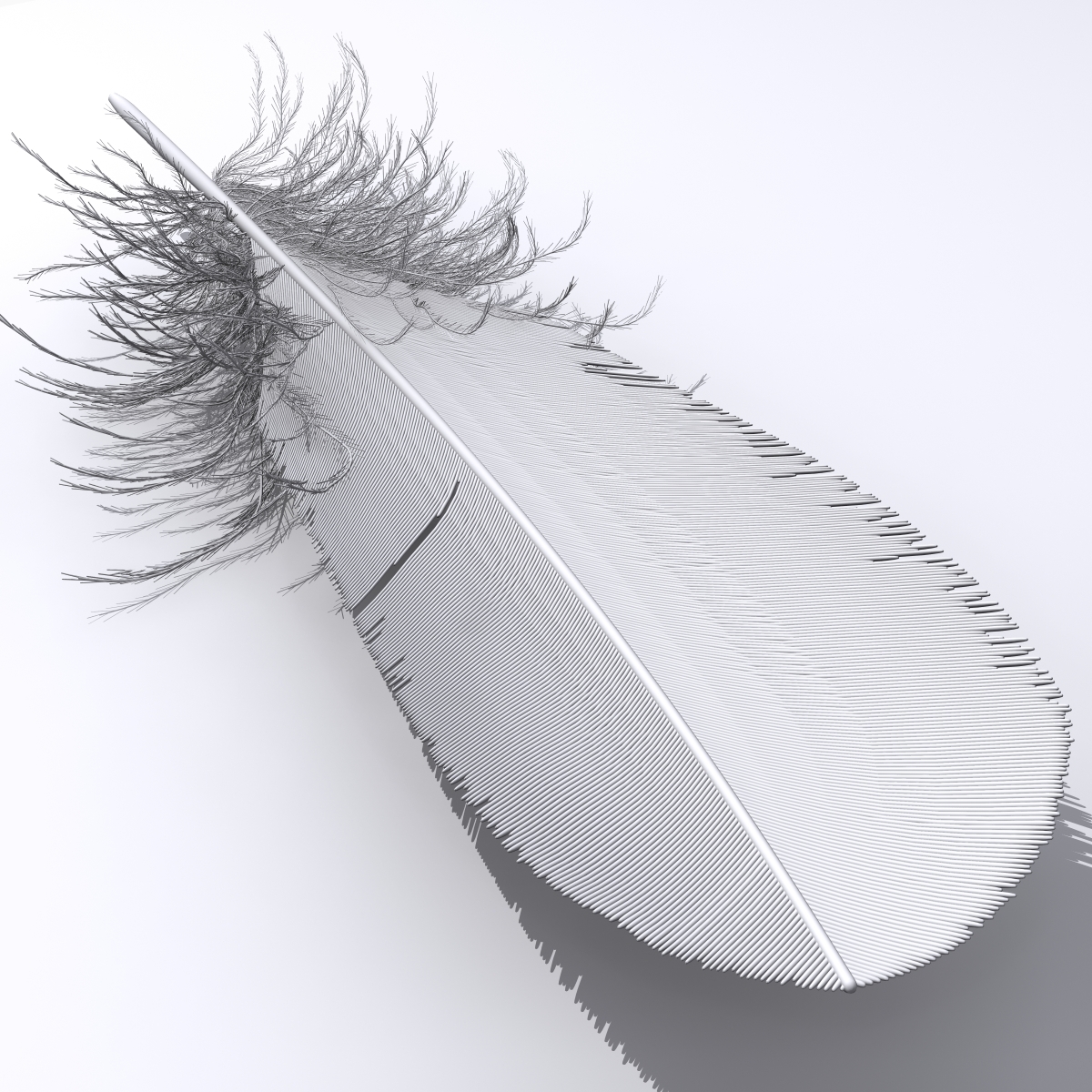 max realistic bird feather