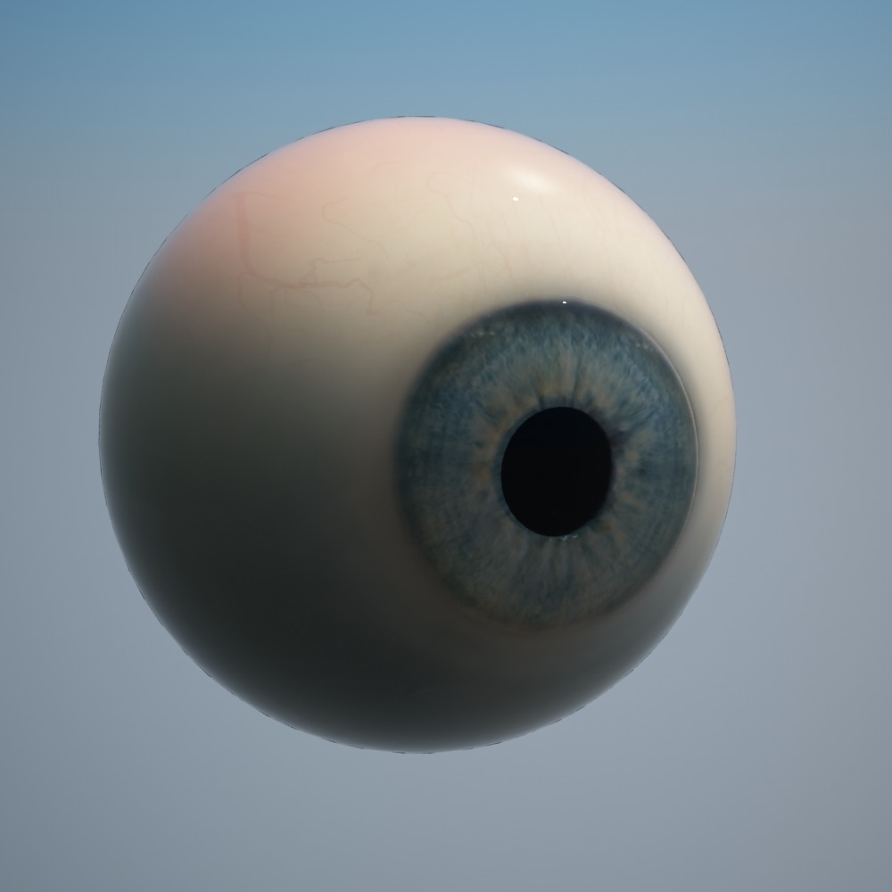 human eye 3d model