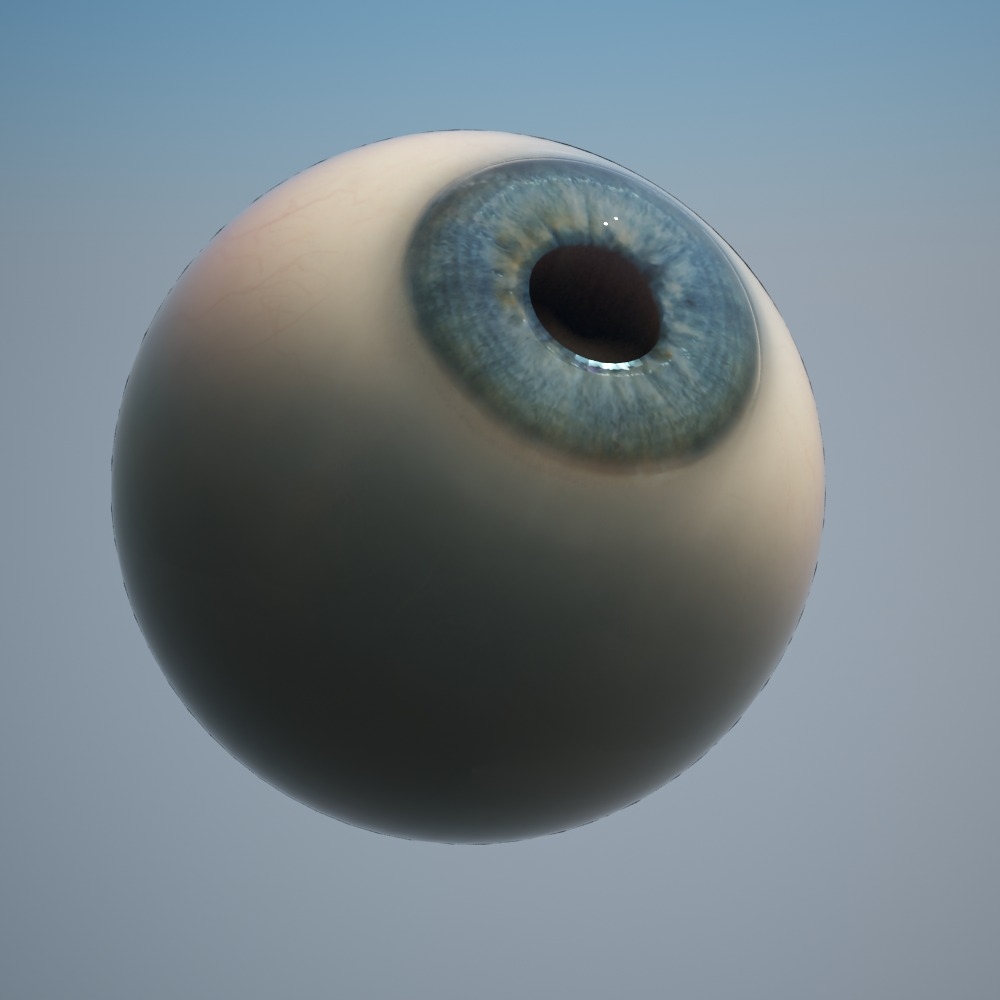 human eye 3d model