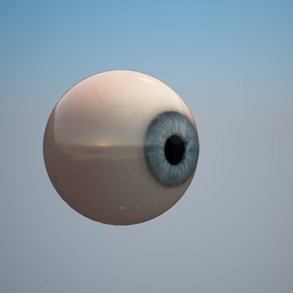 human eye 3d model