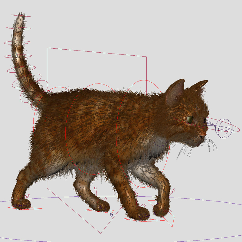 cats fur animations 3d model