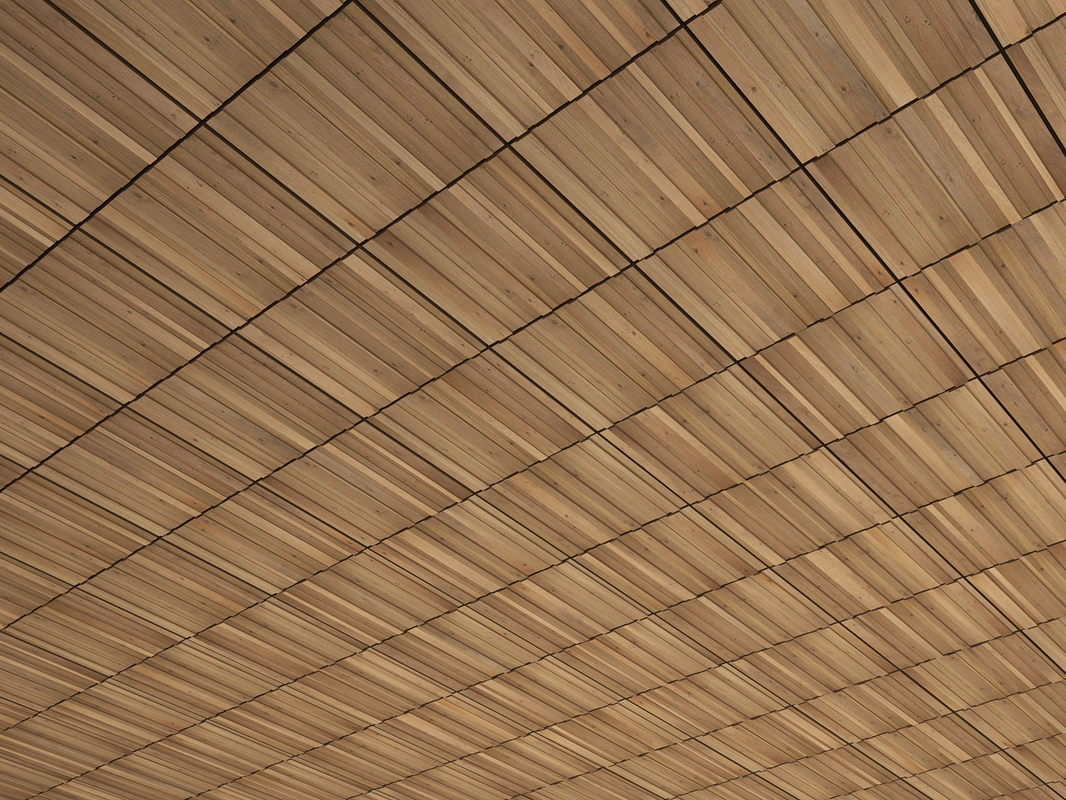 ceiling 3d max