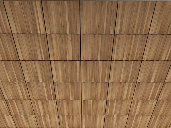 ceiling 3d max