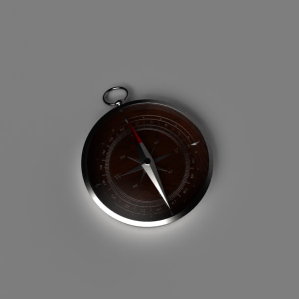 maya silver compasses