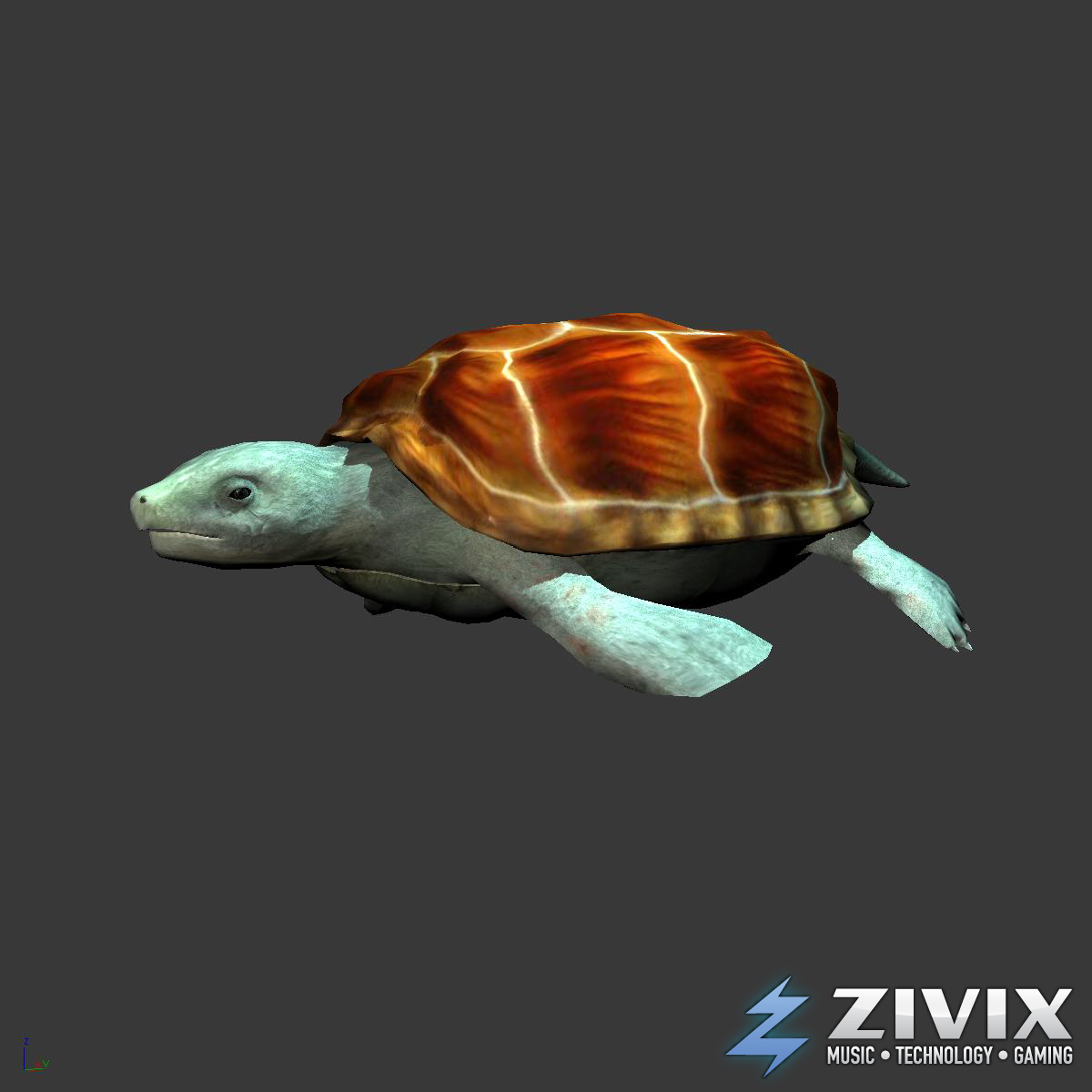 3d generic turtle swim
