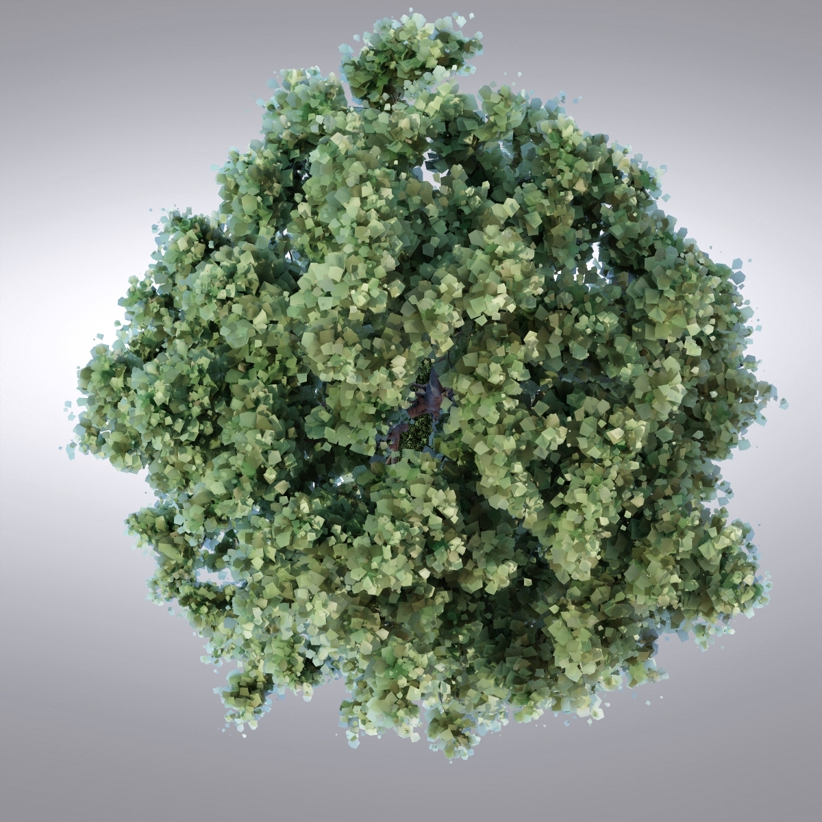 hi realistic series tree 3d model